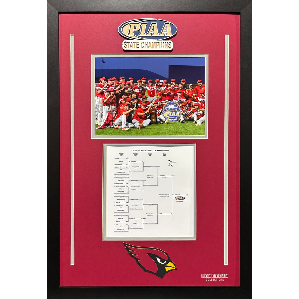 Upper Dublin Custom Frame 8x10 Photo 2025 Baseball PIAA STATE CHAMPION